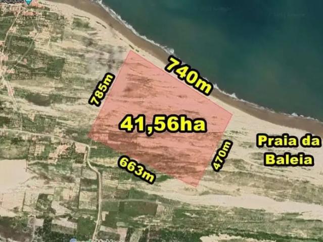 Terreno / Lote para Venda em Itapipoca/CE Praia da Baleia