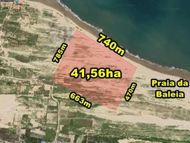 Terreno / Lote para Venda em Itapipoca/CE Praia da Baleia