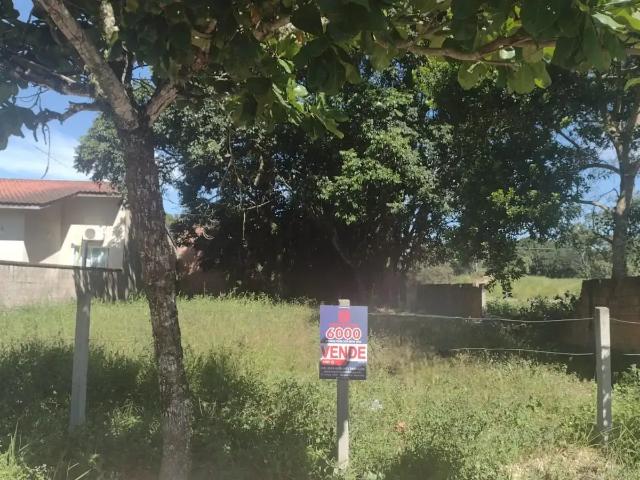 Terreno / Lote para Venda em Itapoá/SC Balneário do Príncipe
