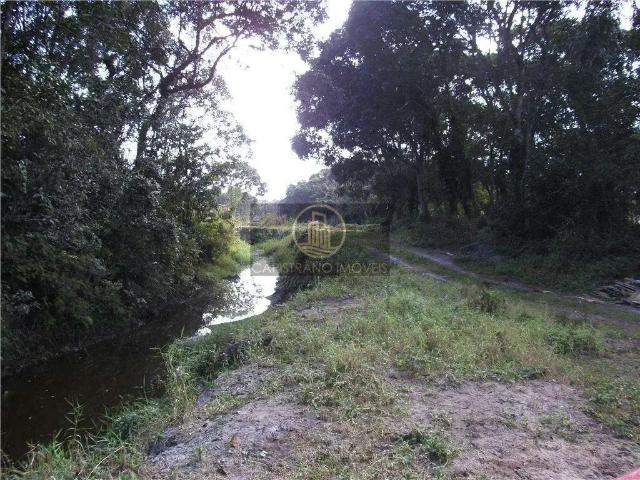 Terreno / Lote para Venda em Itapoá/SC Balneário Vitória