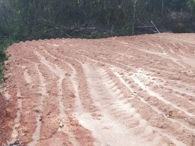 Terreno / Lote para Venda em Itapoá/SC Barra do Sai