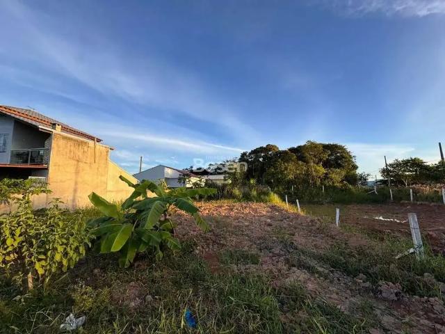 Terreno / Lote para Venda em Itapoá/SC Barra do Sai
