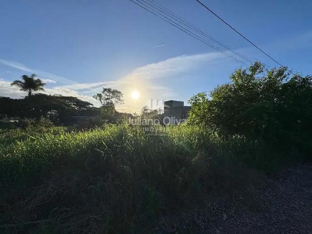 Terreno / Lote para Venda em Itapoá/SC Barra do Sai