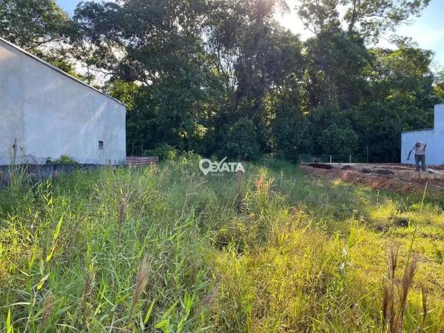 Terreno / Lote para Venda em Itapoá/SC Barra do Sai