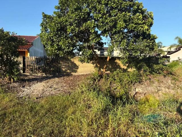 Terreno / Lote para Venda em Itapoá/SC Barra do Sai