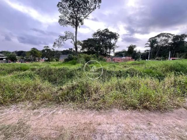 Terreno / Lote para Venda em Itapoá/SC Brandalize
