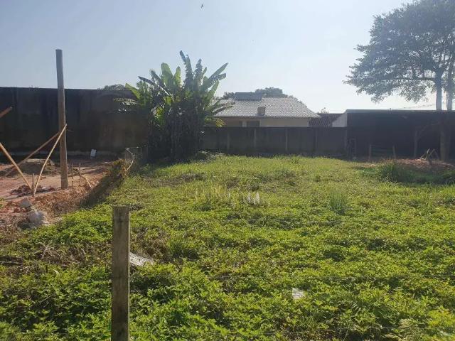 Terreno / Lote para Venda em Itapoá/SC Paese
