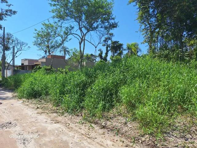 Terreno / Lote para Venda em Itapoá/SC Paese