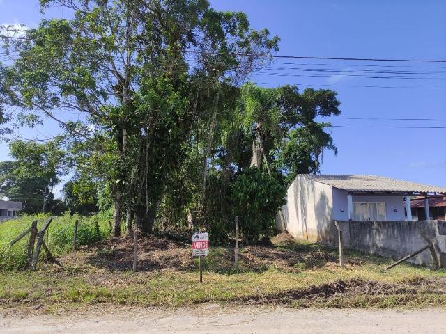 Terreno / Lote para Venda em Itapoá/SC Pontal do Norte