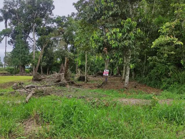 Terreno / Lote para Venda em Itapoá/SC Pontal do Norte