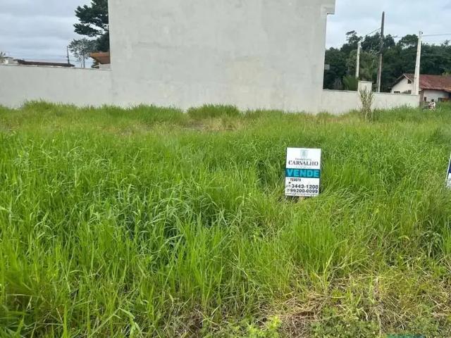Terreno / Lote para Venda em Itapoá/SC Praia Continental