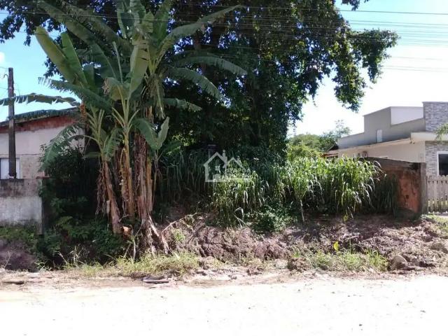 Terreno / Lote para Venda em Itapoá/SC Praia Continental