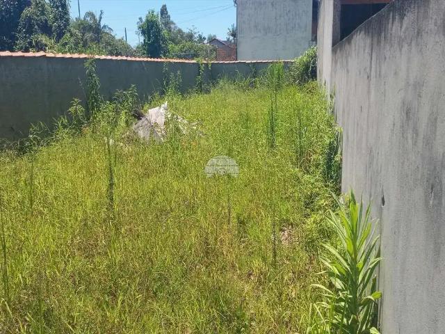 Terreno / Lote para Venda em Itapoá/SC Princesa do Mar