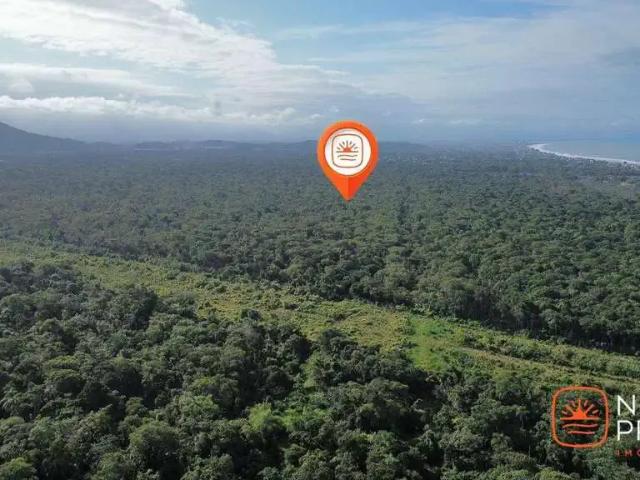 Terreno / Lote para Venda em Itapoá/SC Rosa dos Ventos