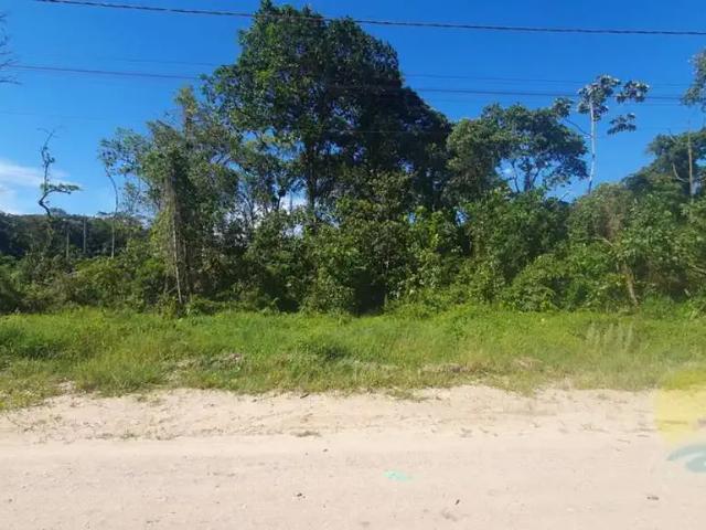Terreno / Lote para Venda em Itapoá/SC São José