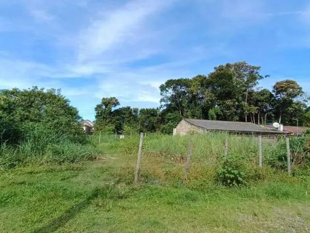 Terreno / Lote para Venda em Itapoá/SC Samambaial