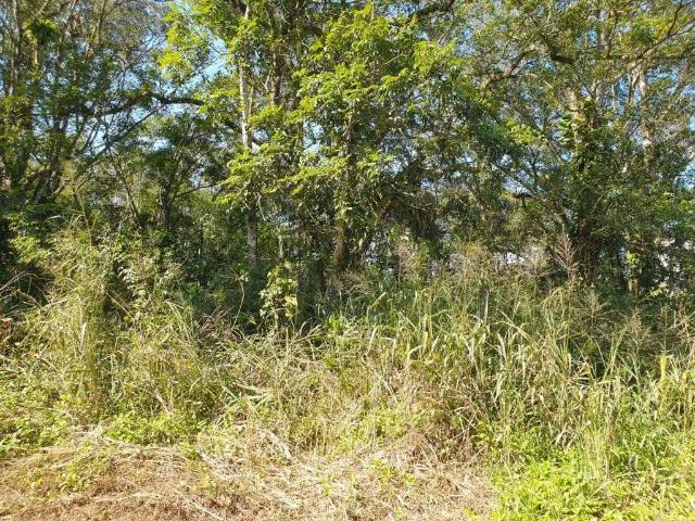 Terreno / Lote para Venda em Itapoá/SC Santa Terezinha