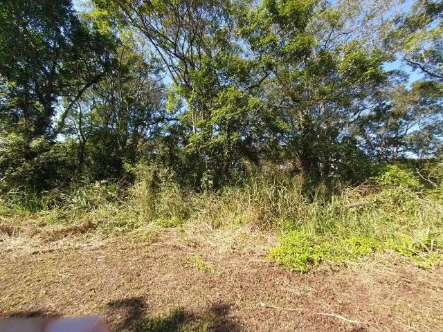 Terreno / Lote para Venda em Itapoá/SC Santa Terezinha