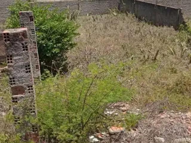 Terreno / Lote para Venda em Itaporanga D'Ajuda/SE Caueira