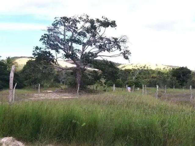 Terreno / Lote para Venda em Itaporanga D'Ajuda/SE Caueira