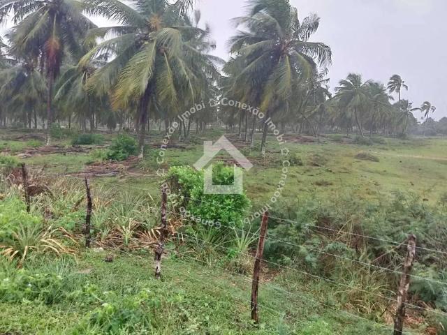 Terreno / Lote para Venda em Itaporanga D'Ajuda/SE Caueira