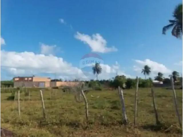 Terreno / Lote para Venda em Itaporanga D'Ajuda/SE Centro