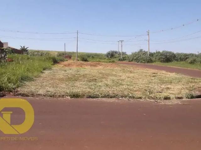 Terreno / Lote para Venda em Itapuí/SP Jardim Maria Luiza