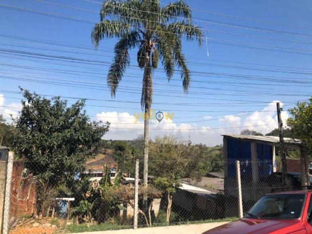 Terreno / Lote para Venda em Itaquaquecetuba/SP Jardim Amazonas