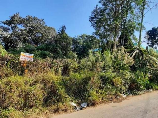 Terreno / Lote para Venda em Itaquaquecetuba/SP Parque Novo Horizonte