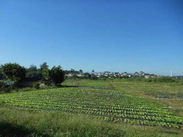 Terreno / Lote para Venda em Itaquaquecetuba/SP Parque Recanto Mônica