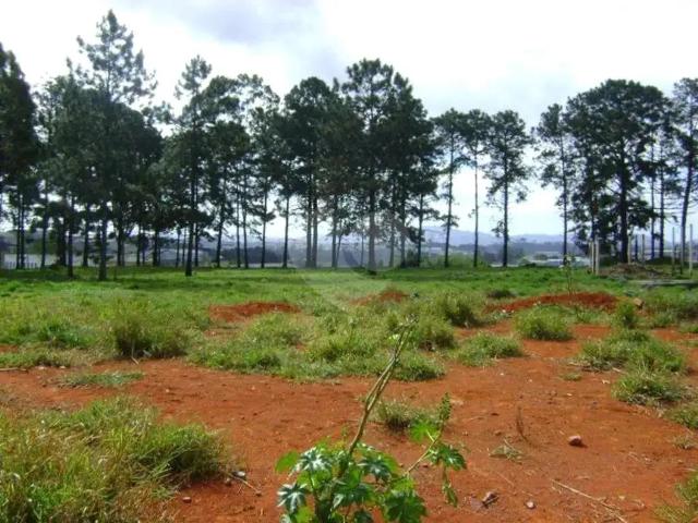 Terreno / Lote para Venda em Itaquaquecetuba/SP Pinheirinho