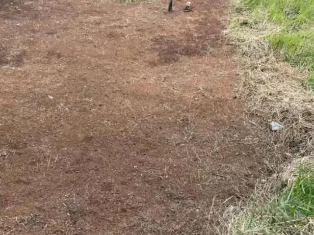 Terreno / Lote para Venda em Itaquaquecetuba/SP Residencial Jasmim