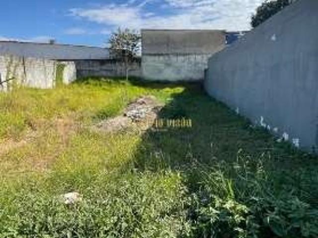 Terreno / Lote para Venda em Itaquaquecetuba/SP Residencial Jasmim