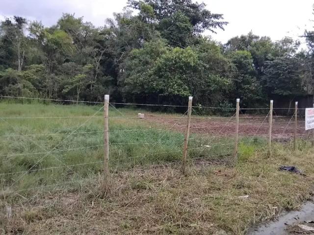 Terreno / Lote para Venda em Itariri/SP Nova Itariri