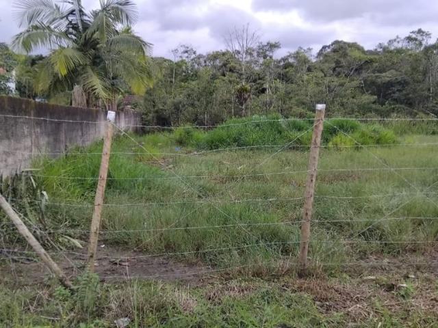 Terreno / Lote para Venda em Itariri/SP Nova Itariri