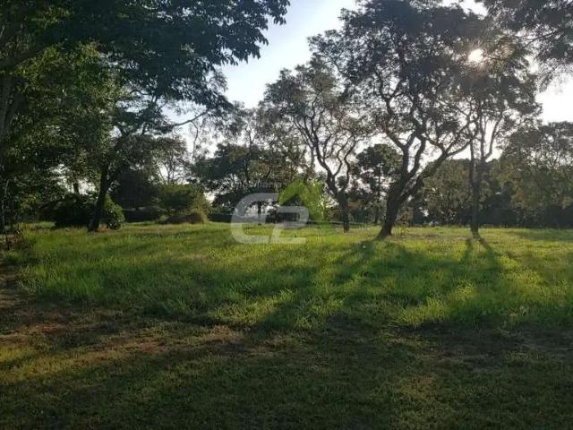 Terreno / Lote para Venda em Itirapina/SP Vila Pinhal