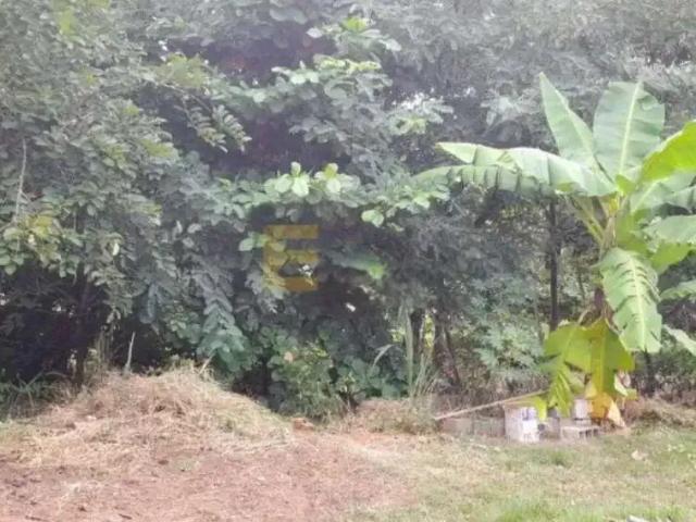Terreno / Lote para Venda em Itupeva/SP Jardim Itália