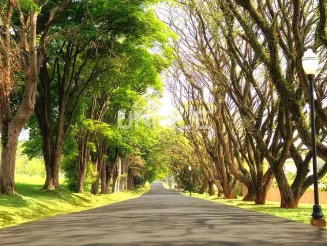 Terreno / Lote para Venda em Itupeva/SP Serra Azul
