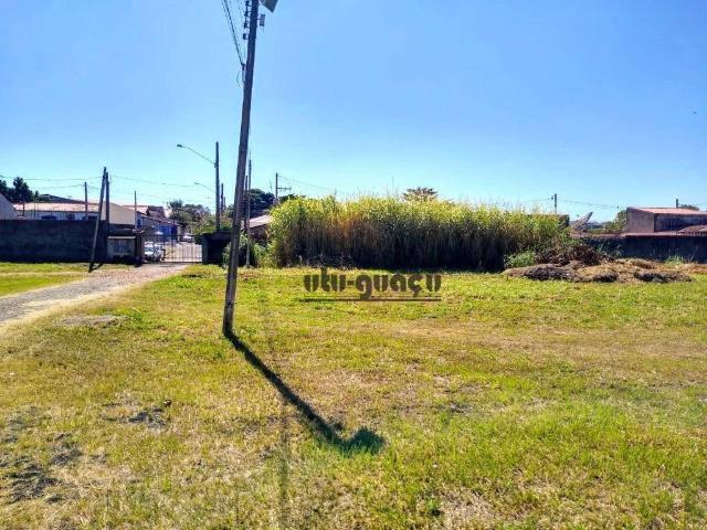 Terreno / Lote para Venda em Itu/SP Vila São Francisco
