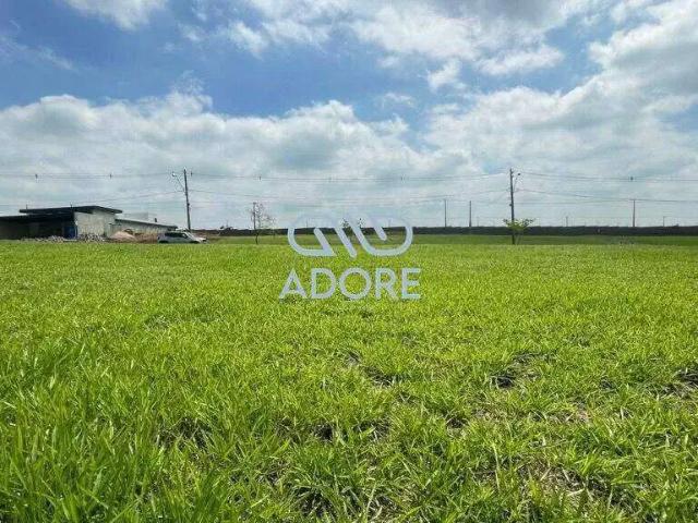 Terreno / Lote para Venda em Itu/SP Jardim Emicol