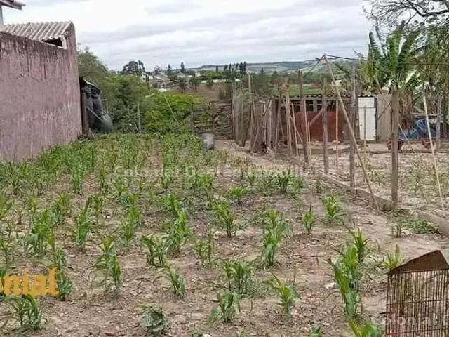 Terreno / Lote para Venda em Itu/SP Jardim Estância Bom Viver