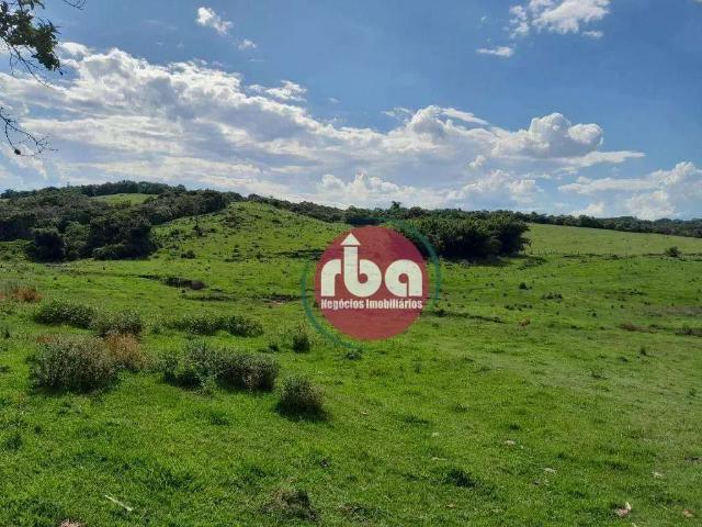 Terreno / Lote para Venda em Itu/SP Jardim Paraíso II