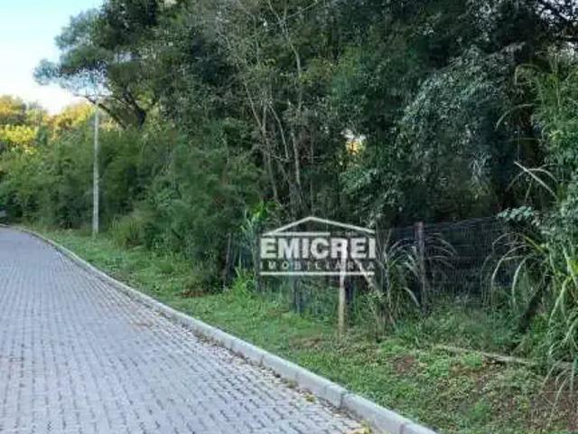 Terreno / Lote para Venda em Ivoti/RS Centro