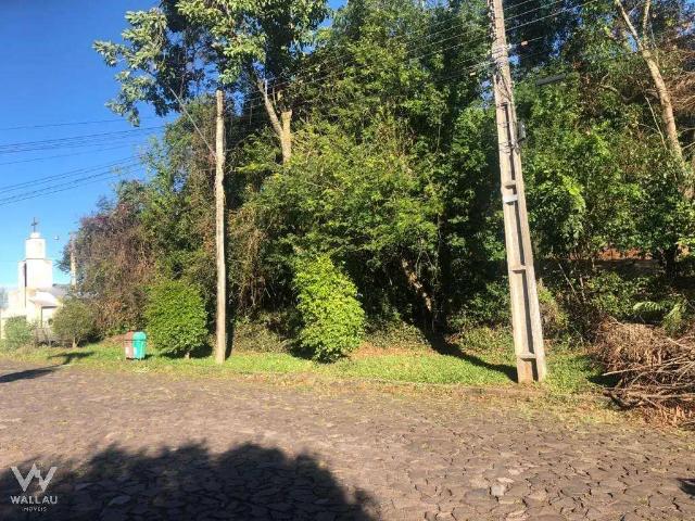 Terreno / Lote para Venda em Ivoti/RS Centro