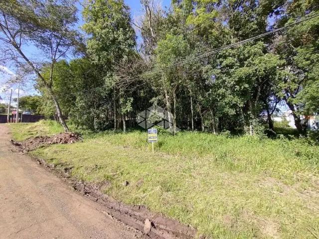 Terreno / Lote para Venda em Ivoti/RS Cidade Nova