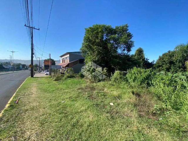 Terreno / Lote para Venda em Ivoti/RS Cidade Nova