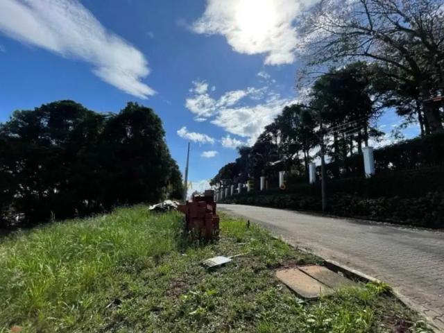 Terreno / Lote para Venda em Ivoti/RS Cidade Nova