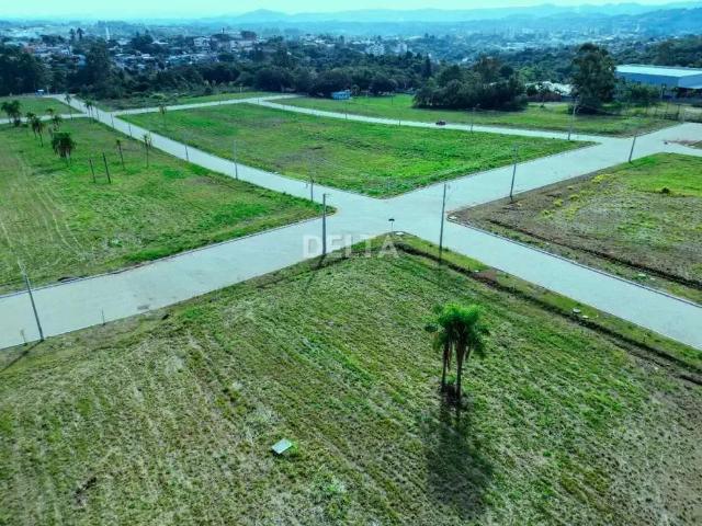 Terreno / Lote para Venda em Ivoti/RS Colina Verde