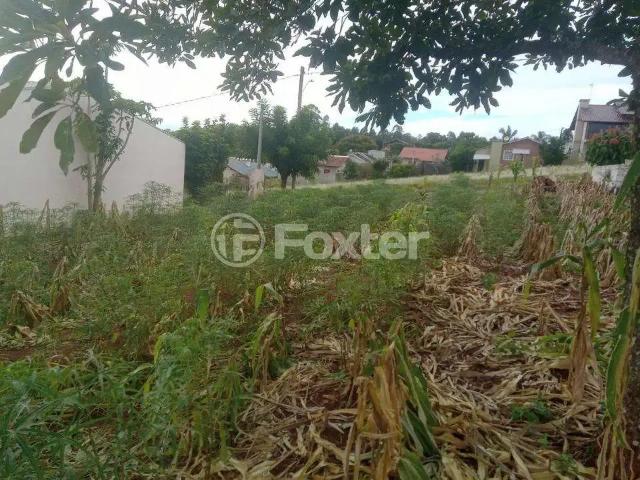 Terreno / Lote para Venda em Ivoti/RS Concórdia