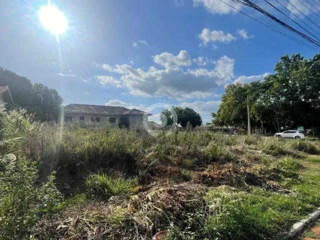 Terreno / Lote para Venda em Ivoti/RS Farroupilha